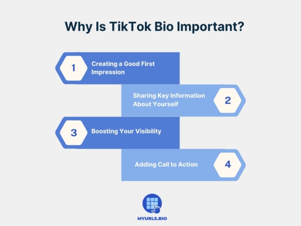 100+ TikTok Bio Ideas That Will Make You Stand Out in 2025 - MyURLs.bio